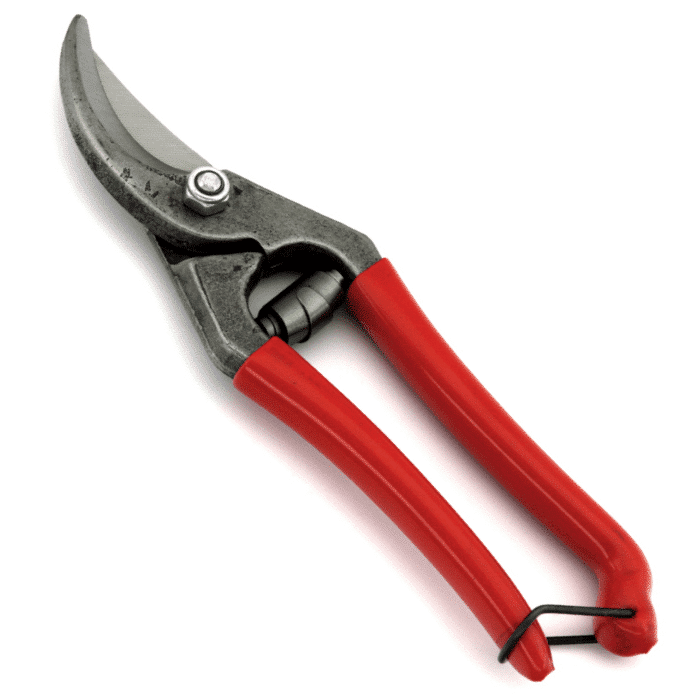 Garden shears — Tool-Garden